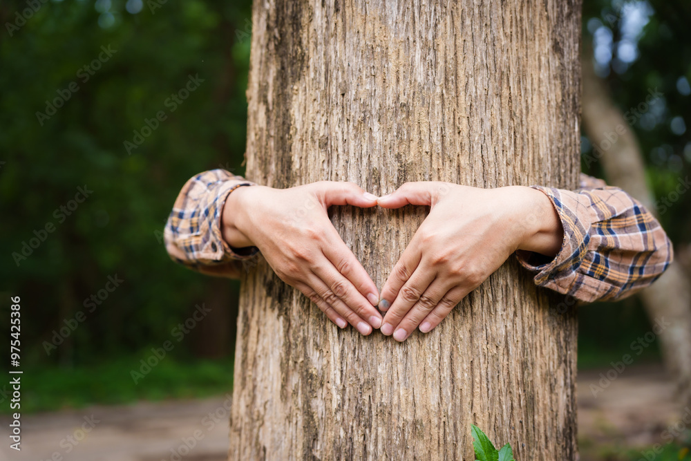 Forest conservationist gentle hugs tree in sunny park, deep care and ...