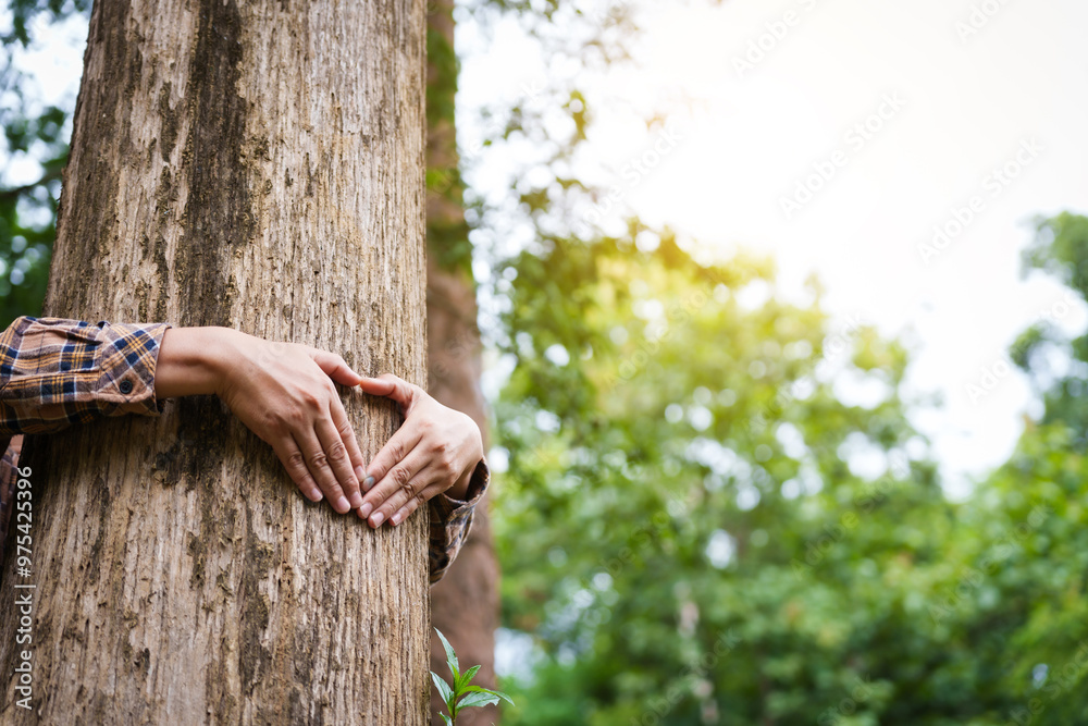 Forest conservationist gentle hugs tree in sunny park, deep care and ...