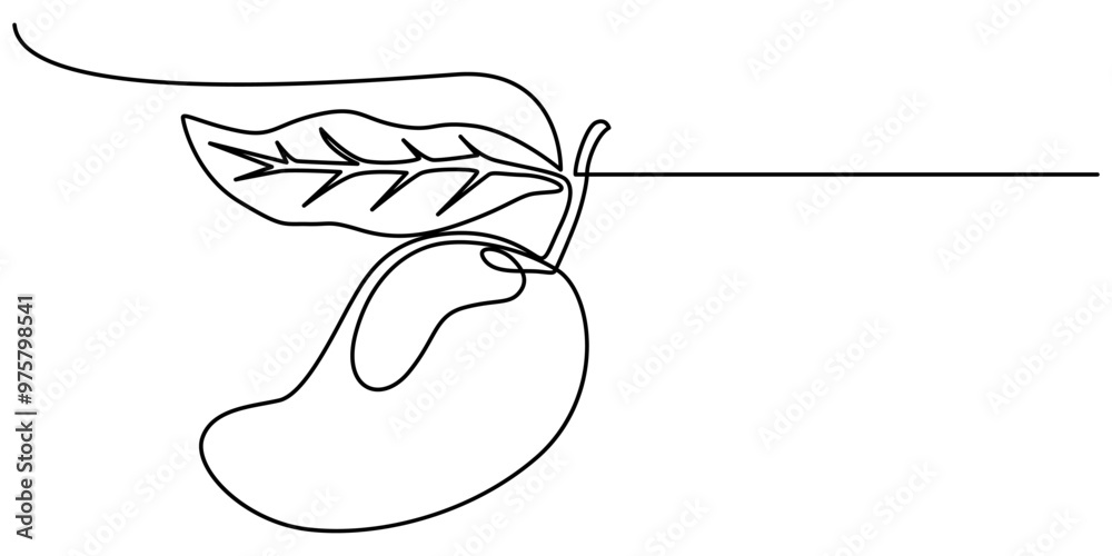 Continuous one line drawing of mango fruit with leaf. Mango fruit hand ...