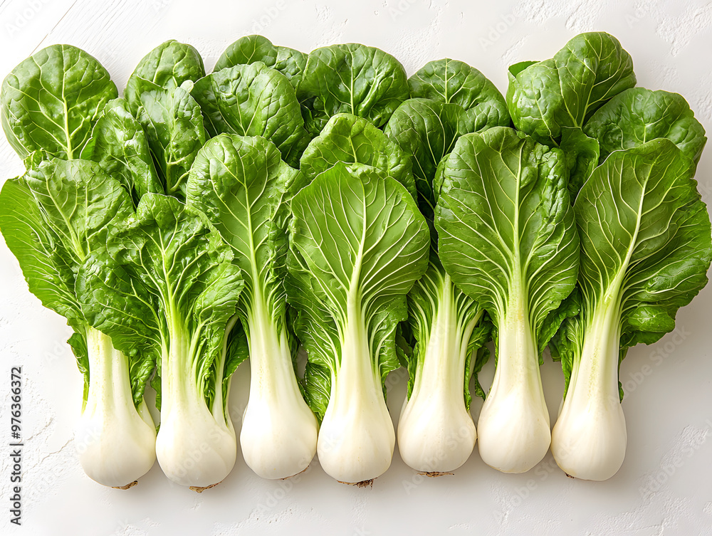 Fresh and vibrant bok choy arranged in a neat row on a white background ...