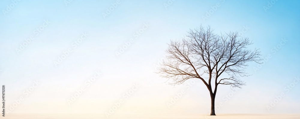 Declining Fertility Rates Visualized - A Wilting Family Tree ... Declining Fertility Rates Visualized - A Wilting Family Tree ...