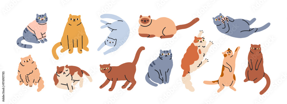 Cute funny cats in different comic fun poses. Adorable feline animals ...