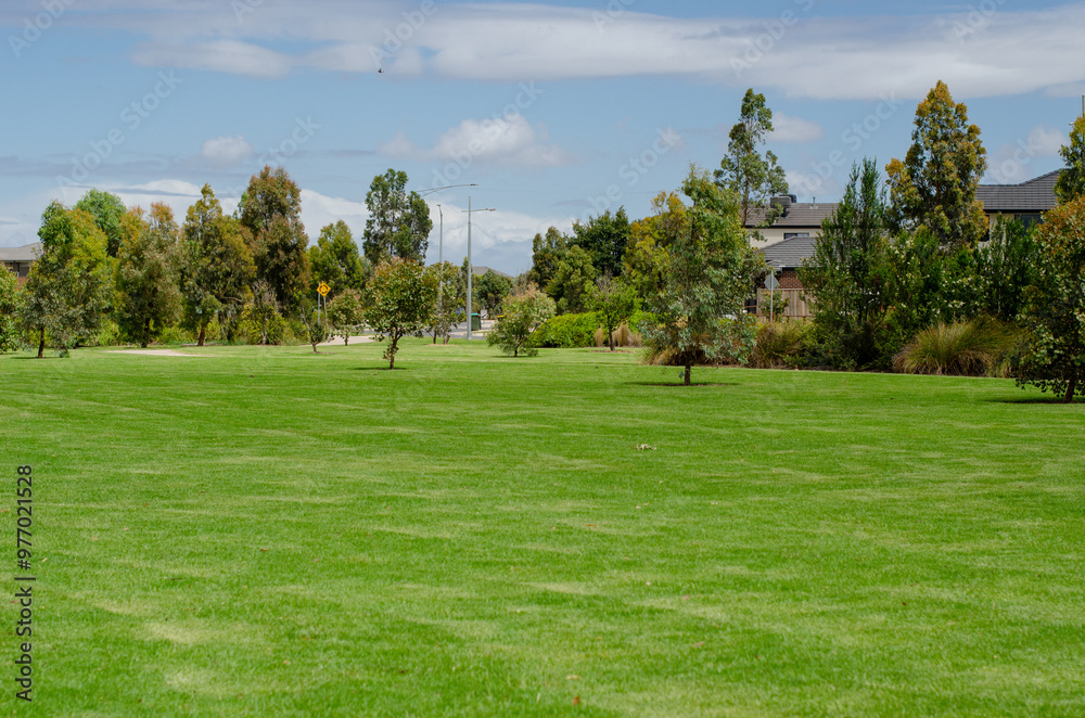 Background texture of large vacant green grass lawn in an urban park ...