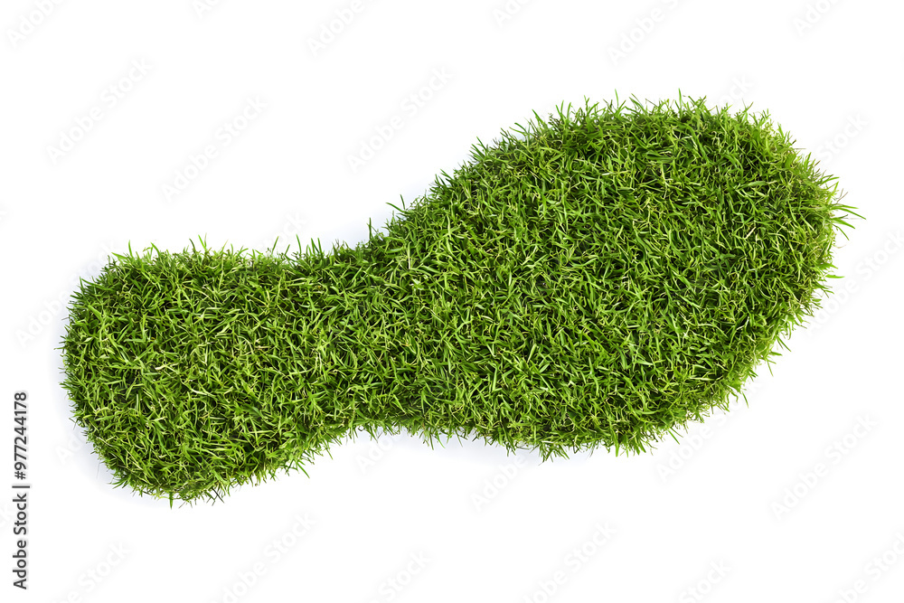 Grass footprint symbolizing eco-friendly practices, green footprint on ...
