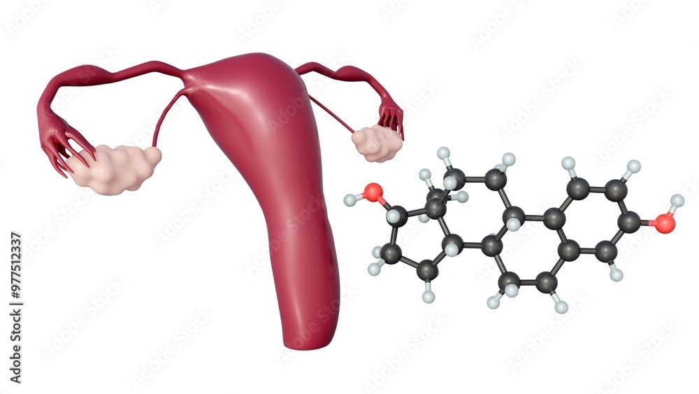 3d rendering of a female reproductive system with molecular structures ...