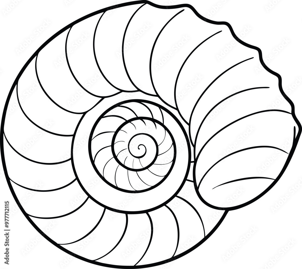 Seashell logo icon line art vector illustration featuring a minimalist ...