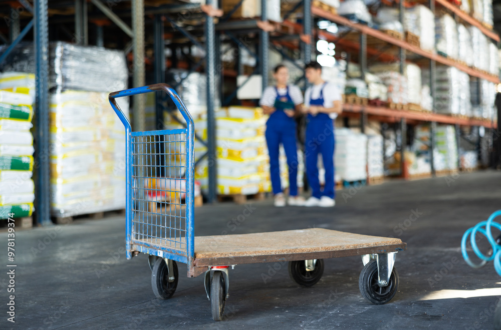 Large cart with load of paper bags is in premises of construction store ...