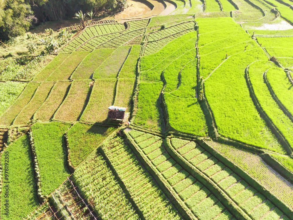 Beautiful Panoramic Landscape Hut in the middle of terraced rice fields ...
