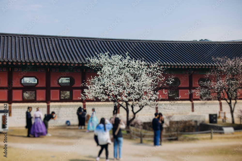 Gyeongbokgung Palace, Seoul, Jongno District, South Korea, in a spring ...