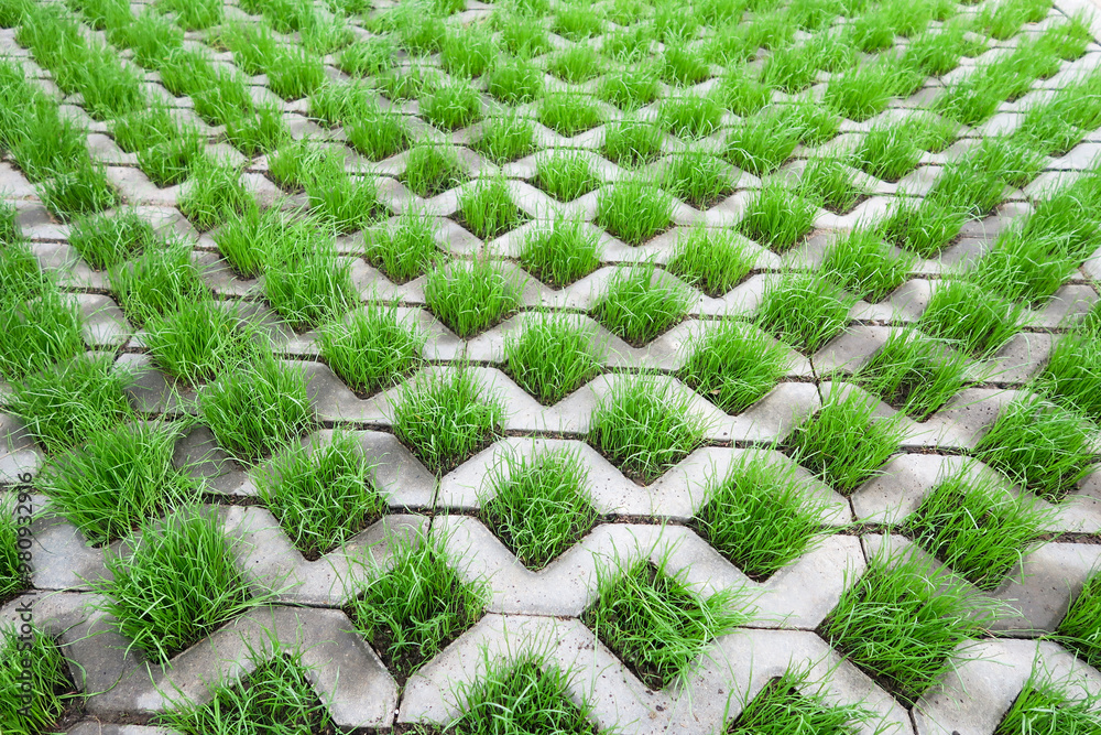 Polymer-sanded lawn grating for the construction of eco-parks Stock ...
