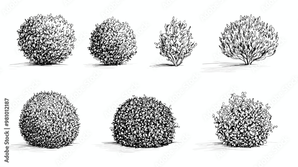 Set of vector bush illustrations on a white background. Architectural ...