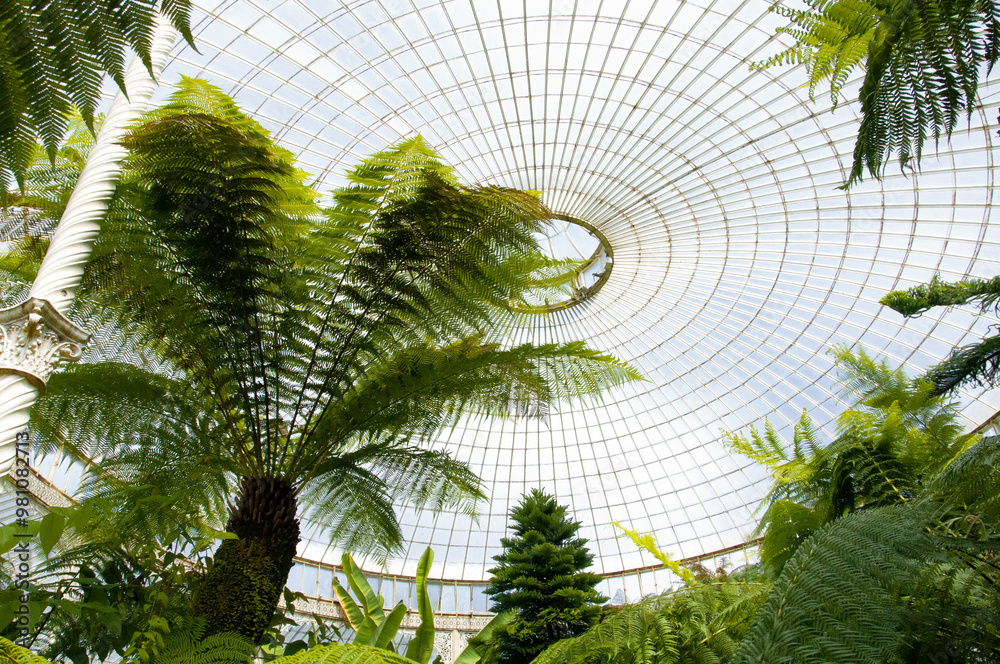 Roof of the botanic garden inside view with palms Stock Photo | Adobe Stock