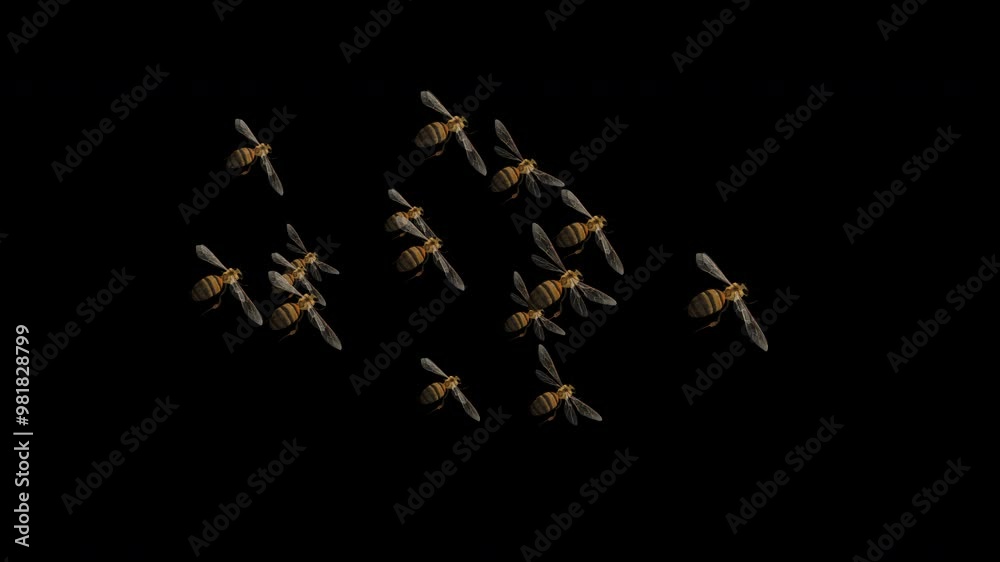 Common Bees - Angry Swarm of 15 Bugs - Flying Loop - Top View MS LS ...