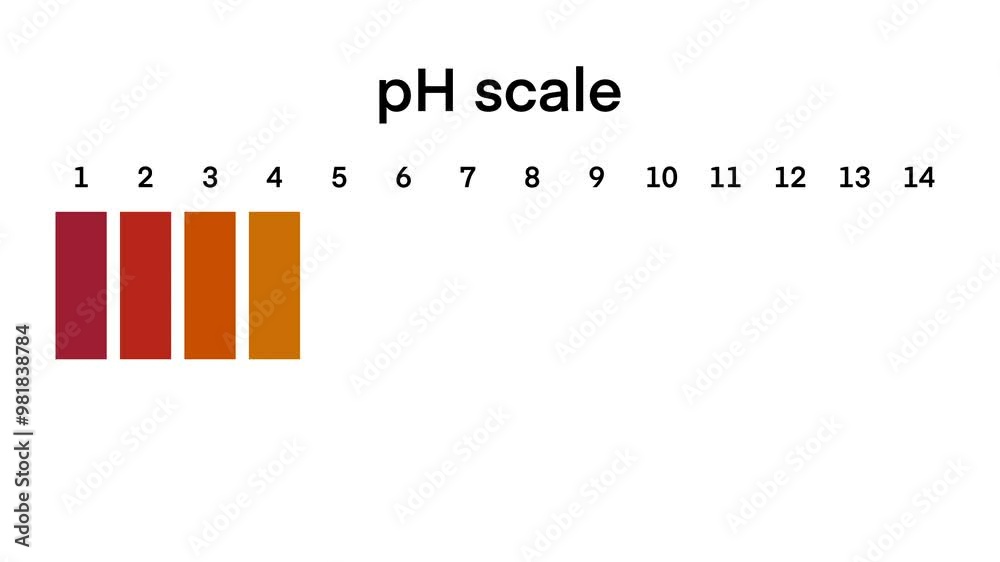 Ph scale diagram, Ph scale graphic, Acid to base, pH scale Infographic ...