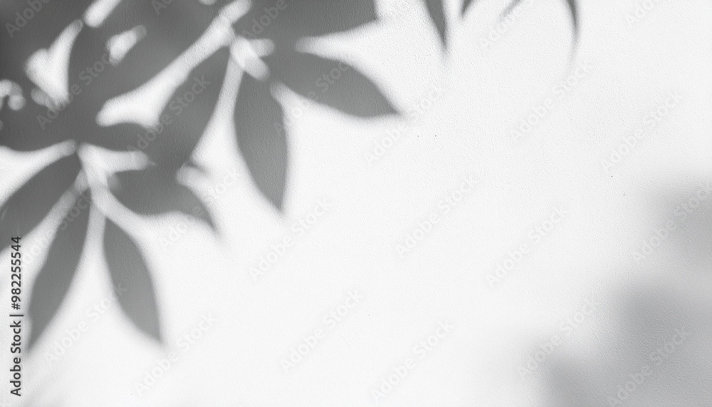 Leaf shadow and light on wall background. Nature tropical leaves tree ...