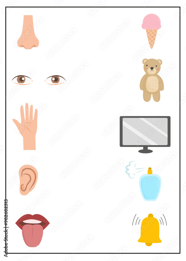 Five Senses worksheet for kids, match the picture to the human Senses ...