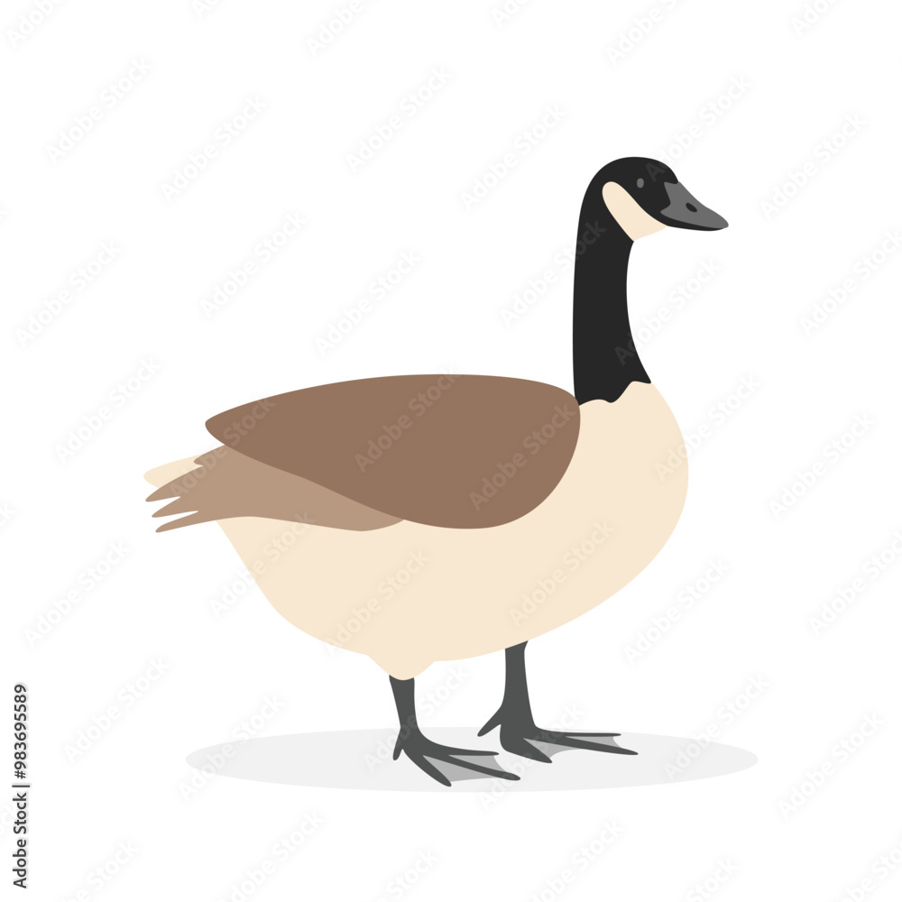 Goose simple vector illustration. Cute Canada goose cartoon clipart ...