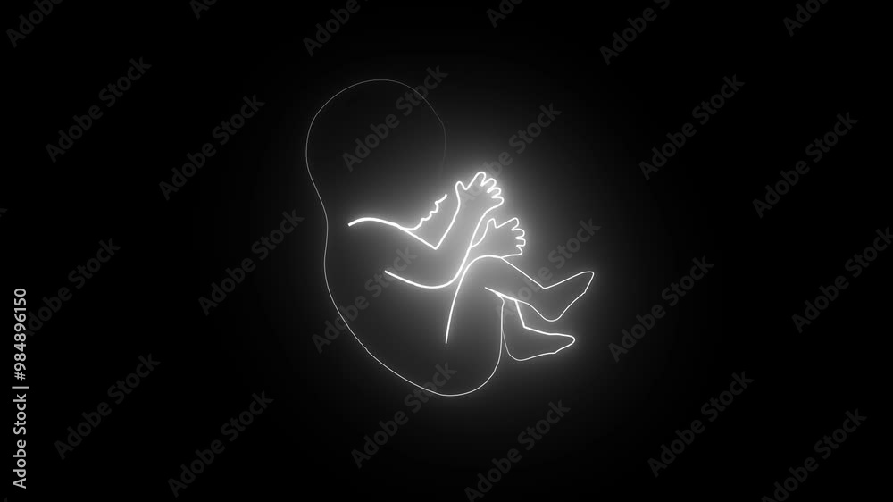 Glowing purple neon Human fetus inside the womb. Pregnancy fetal foetus ...
