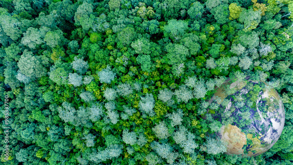 Aerial top view of green forest tree and global globe, Tropical rain ...