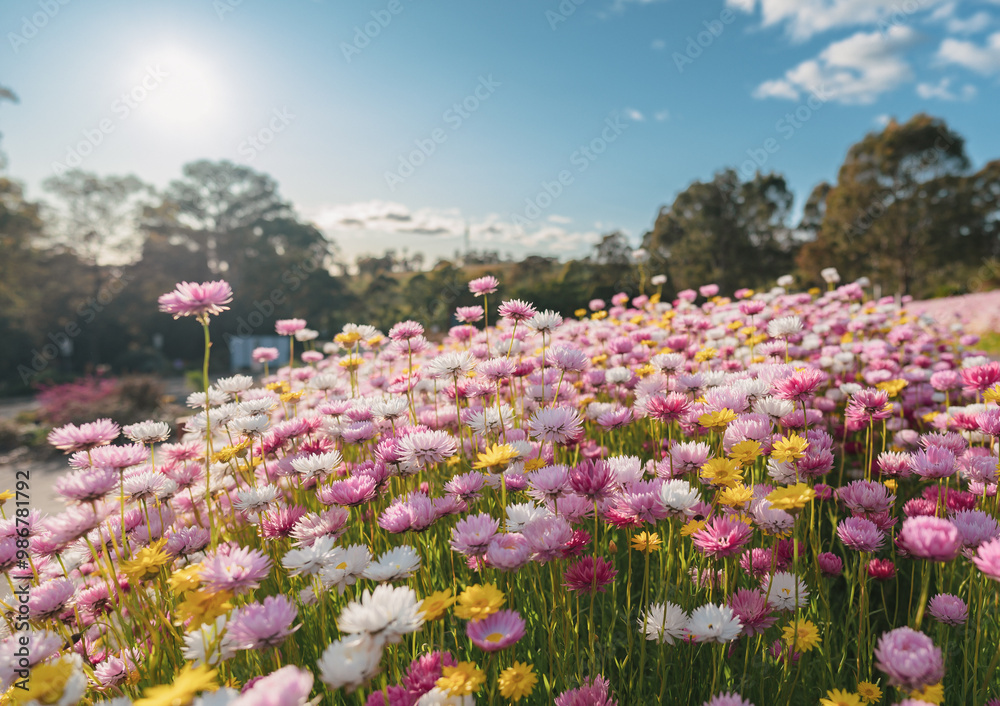 The Australian Botanic Garden, Mount Annan is the Australian native ...
