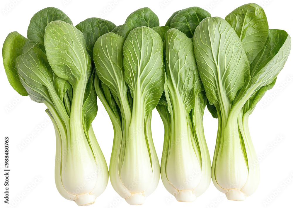 Bok choy bundle on transparent background. Fresh, leafy greens with ...