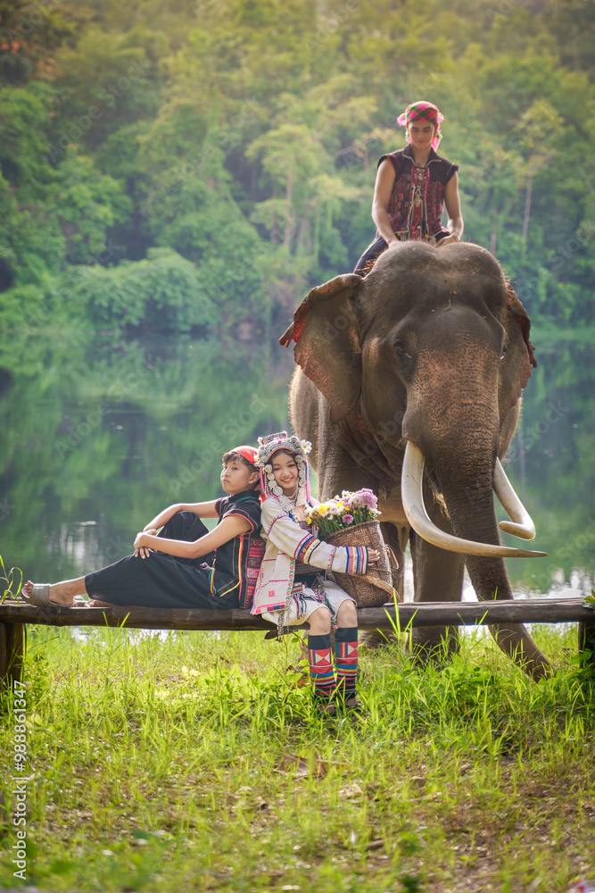 Group of Akha hill tribe enjoys Asian elephants at the Thai Elephant ...