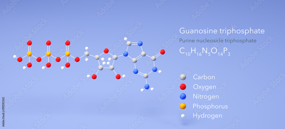 guanosine triphosphate molecule, molecular structure, purine nucleoside ...