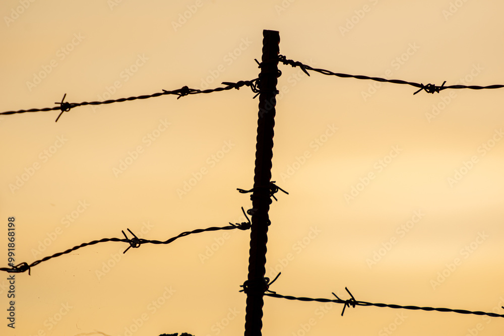 silhouette of an iron stick and a wire mesh fence with barbed wire at ...