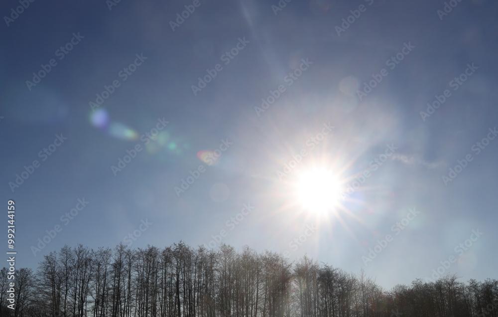 Refraction of sunlight in a forest on a clear winter day. Sun ray with ...