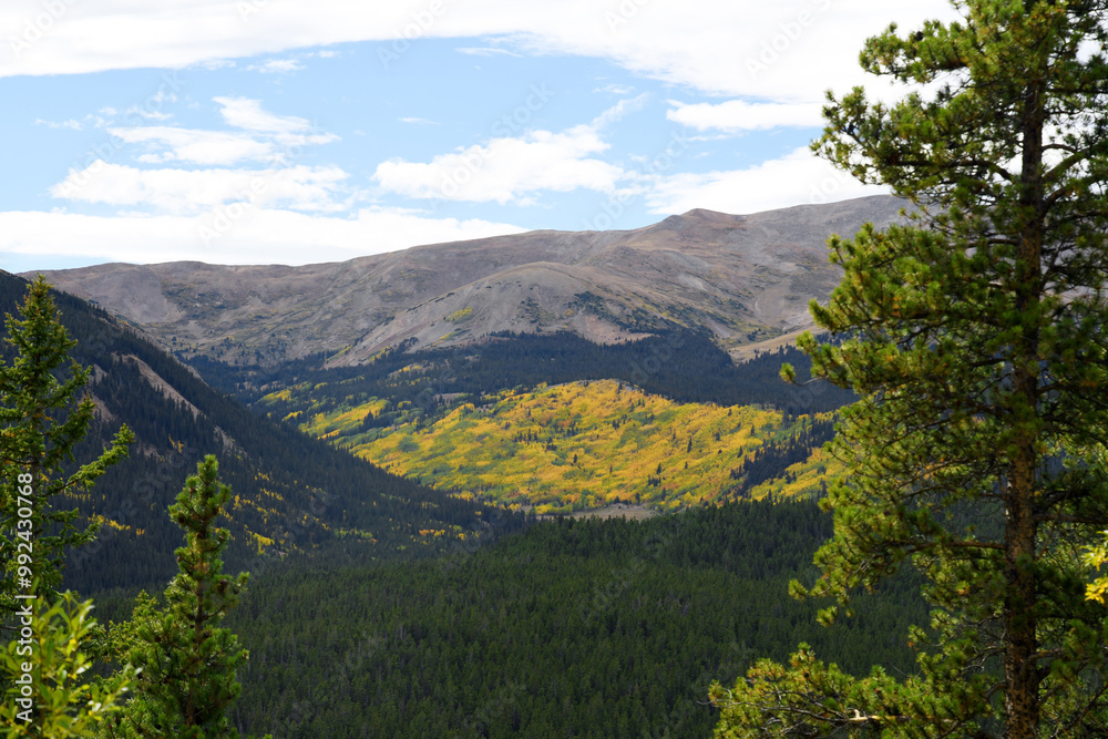 Fall colors, aspen, Breckenridge, Boreas Pass Road, Kenosha Pass, Como ...