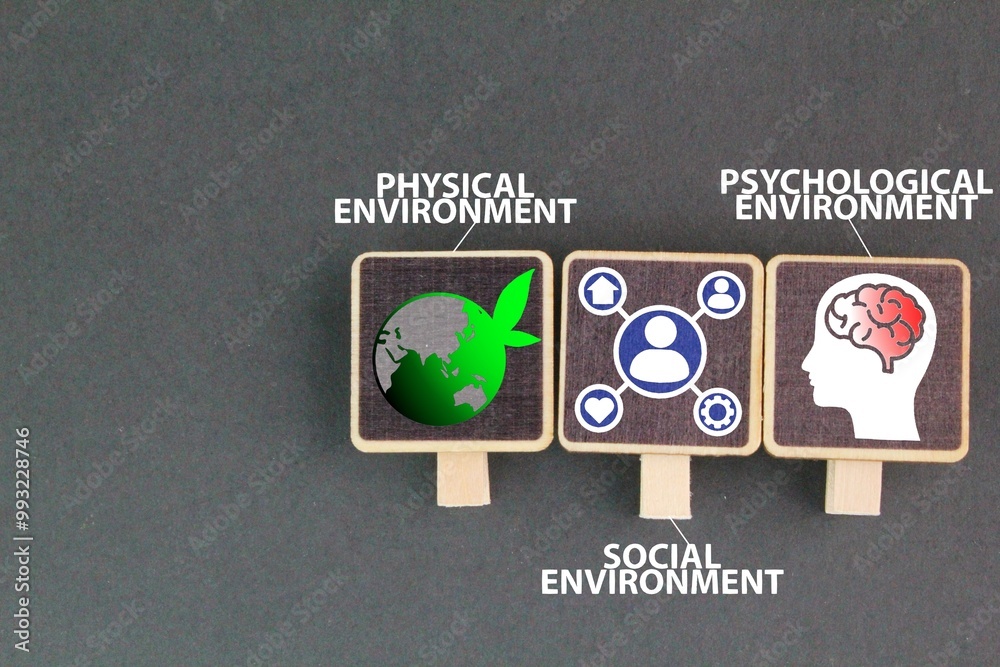 What are the 3 types of environment in health?physical environment ...