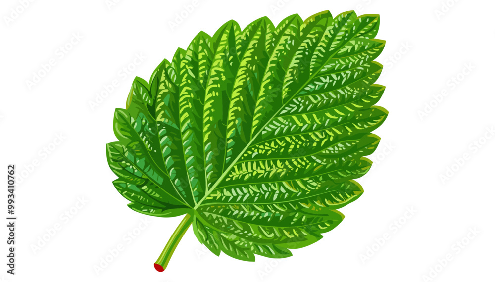 strawberry leaf, fresh strawberry leaf design, botanical strawberry ...