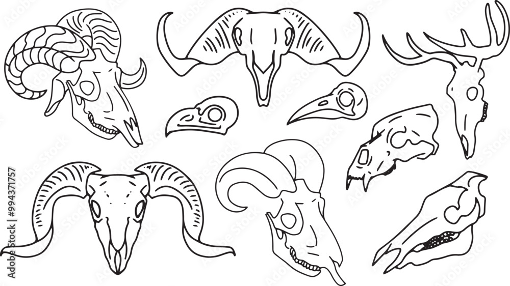 Set Line Halloween Clip art llustration animal skull Ink linear drawing ...