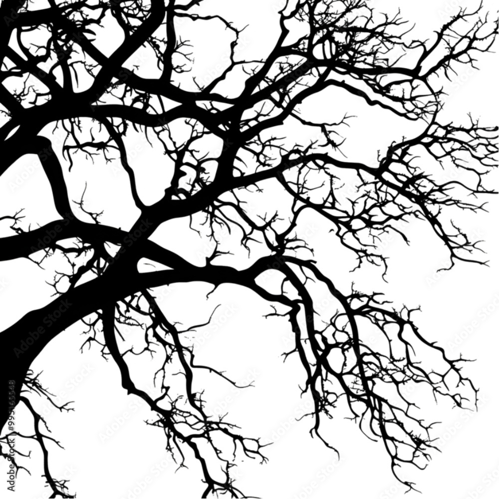 Dead branches, Silhouette dead tree or dry tree on white with clipping ...