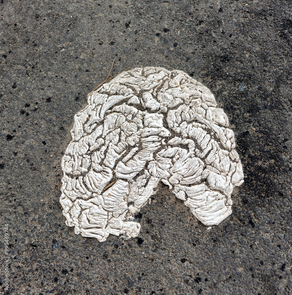 Symbolic representation of Trumpo's brain, crushed, lifeless, like a ...