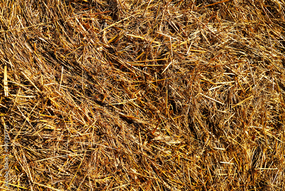 Hay background. Haystacks background, texture. Wheat gold hay in field ...