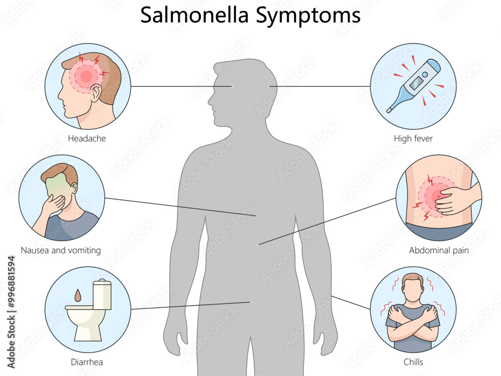 symptoms of Salmonella, headache, high fever, abdominal pain, nausea ...