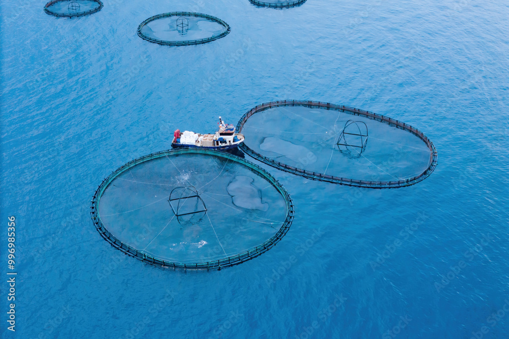 Service feeding boat on offshore aquafarming fish farm in sea for ...