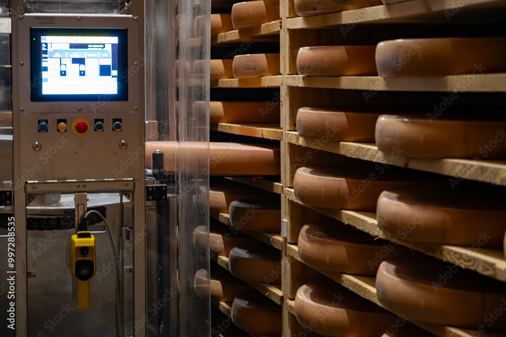 Aging rooms with shelves in cheese caves, central location for aging of ...