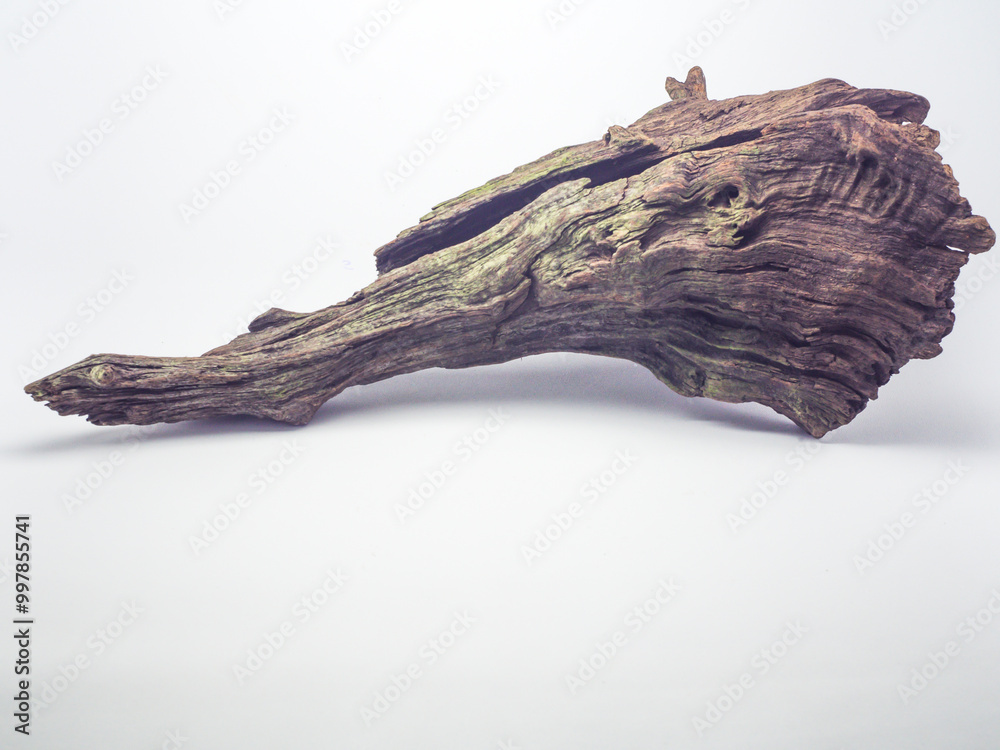 Natural drift wood isolated on white background for gardening layout or ...