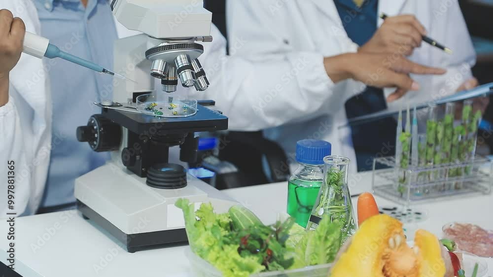 Scientist team asian man and woman testing and researching food ...