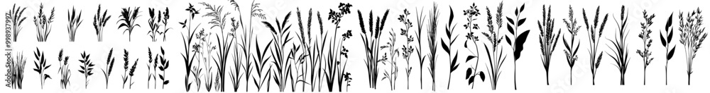 Icons set for reeds and reeds. Cane silhouettes with black contours ...