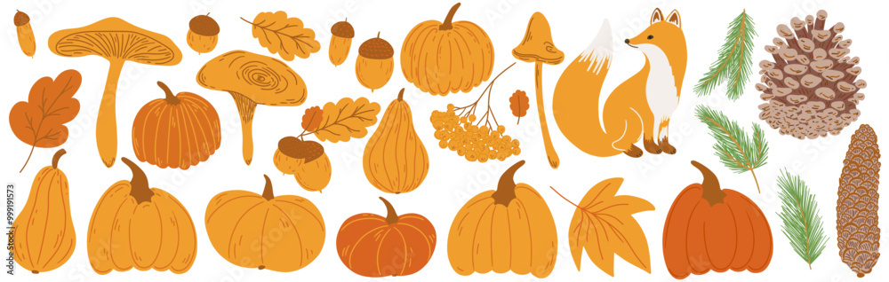 Autumn big hand drawing set. Flat doodle childish fall elements ...