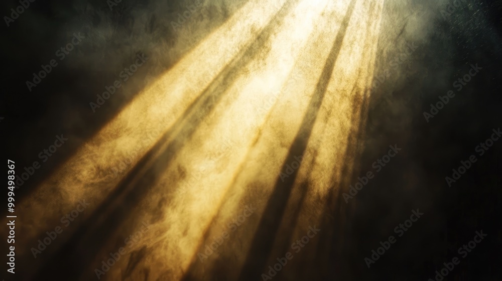 A beam of light represents the profound insight of the First ...