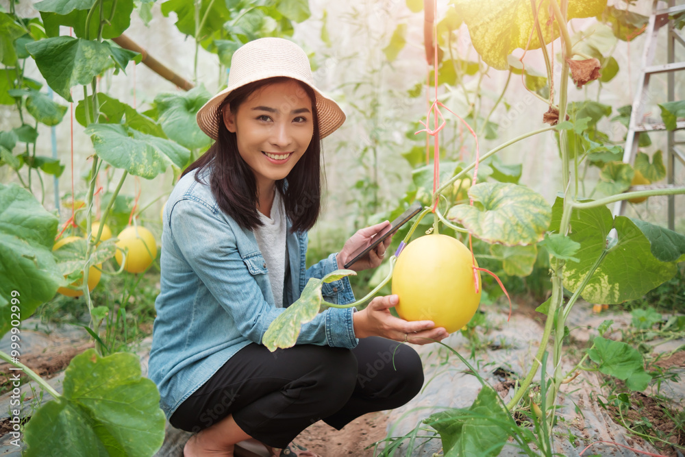 Asian woman farmer farming melon, botanist using computer portable ...