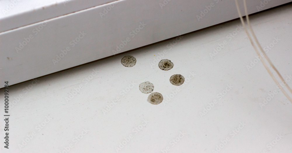 Five small circular stains on white surface near plastic window frame ...
