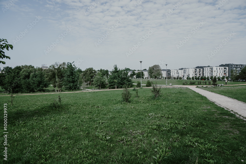 Summer time in the city, green landscape, blue sky and lush trees in ...