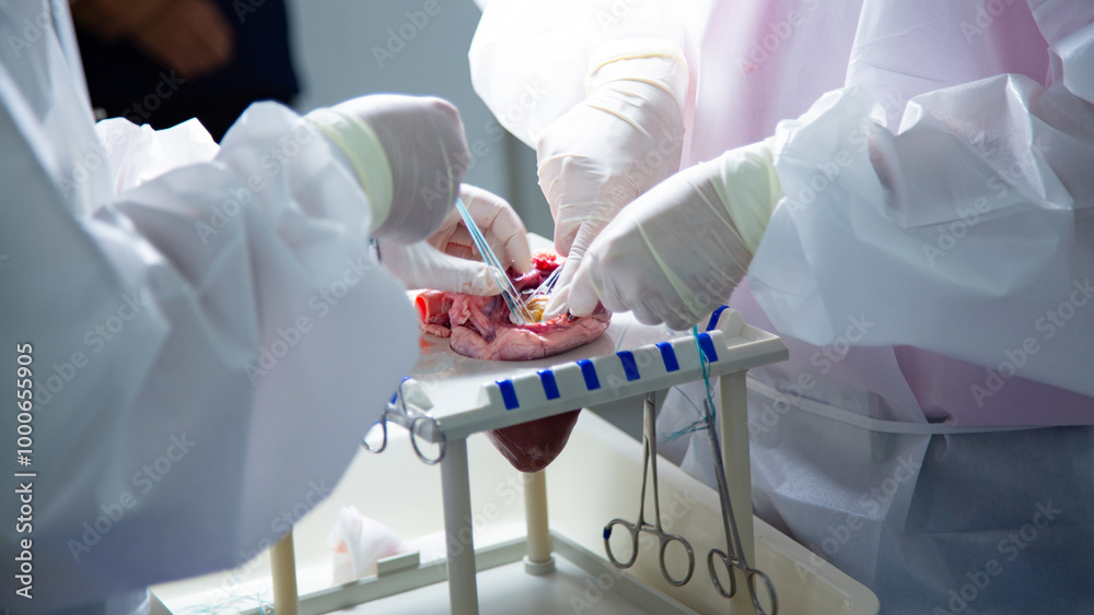 A team of surgeons are practicing artificial heart valve replacement ...