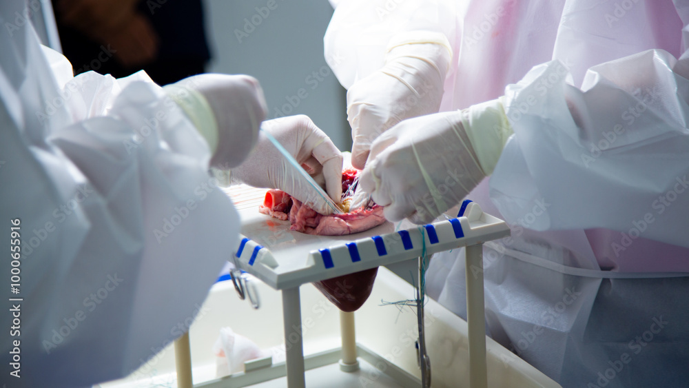 A team of surgeons are practicing artificial heart valve replacement ...