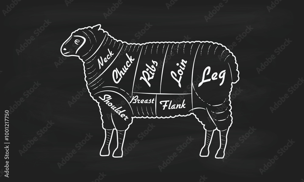 Cuts of Lamb meat. Lamb cuts. Butcher's guide diagram. Vintage poster ...